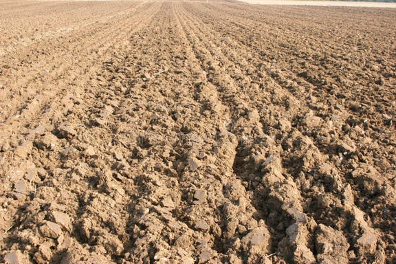 A straight furrow stock photo. Image of control, brown - 297860