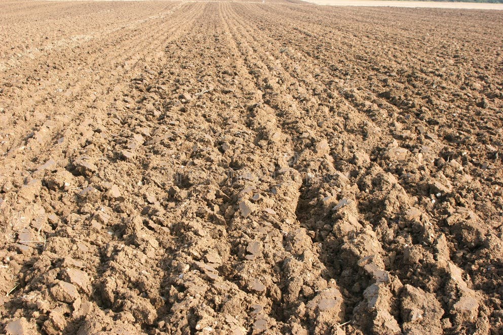 A straight furrow stock photo. Image of control, brown - 297860