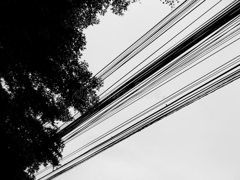 Straight Lines, Multiple Lines of Light Poles and Shadows of Large ...