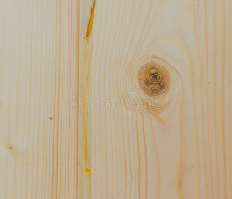 Straight Lines, Twig and Drop of Resin on the Fresh Board Stock Image ...