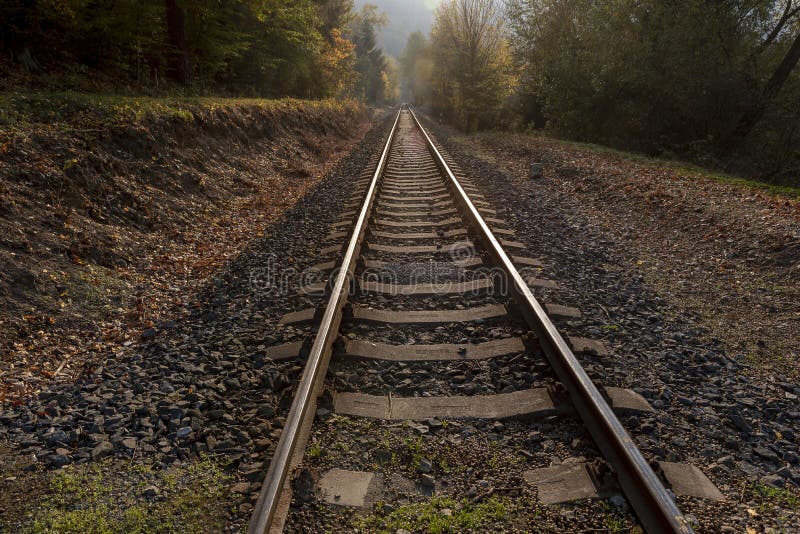 Straight Long Rails Leading through the Colorful Trees Stock Photo ...