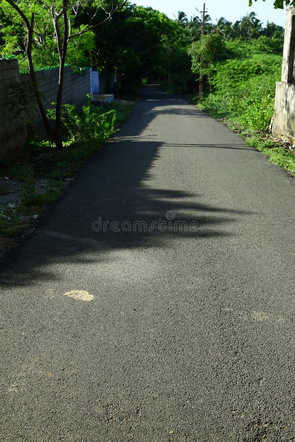 A Straight Narrow Path with Trees Stock Photo - Image of loyal ...