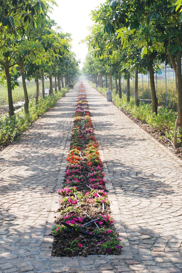 Straight park foot path stock image. Image of mall, footpath - 7499565