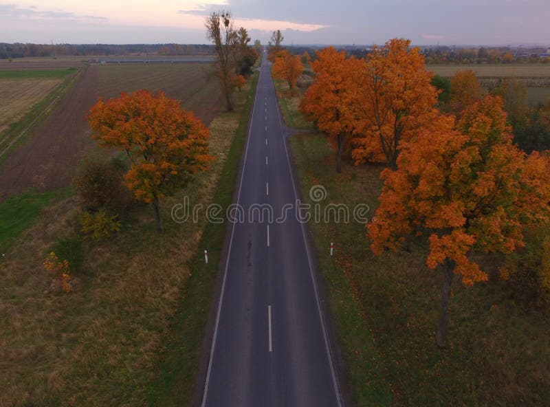 A Straight Path in Autumn Leads Far Away Stock Photo - Image of evening ...
