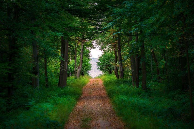 7,614 Path Clearing Stock Photos - Free & Royalty-Free Stock Photos ...