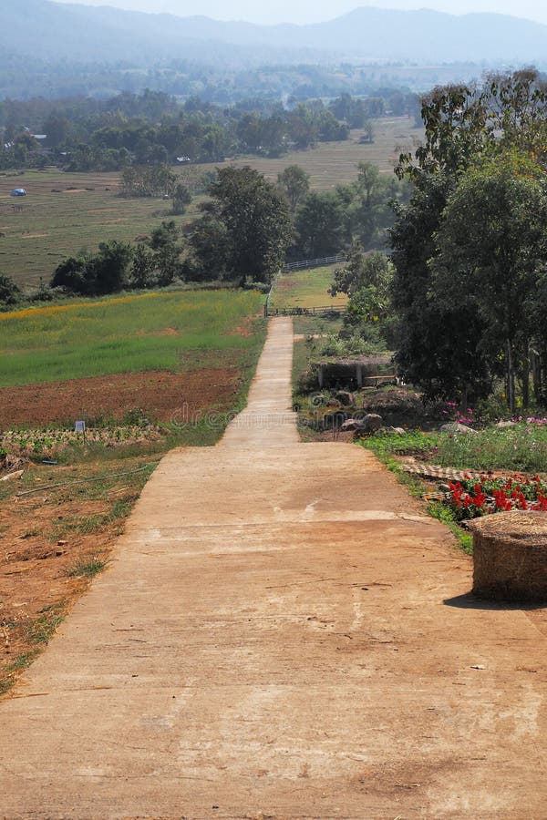 Straight Path Through Farmland Stock Image - Image of narrow, scene: 914395