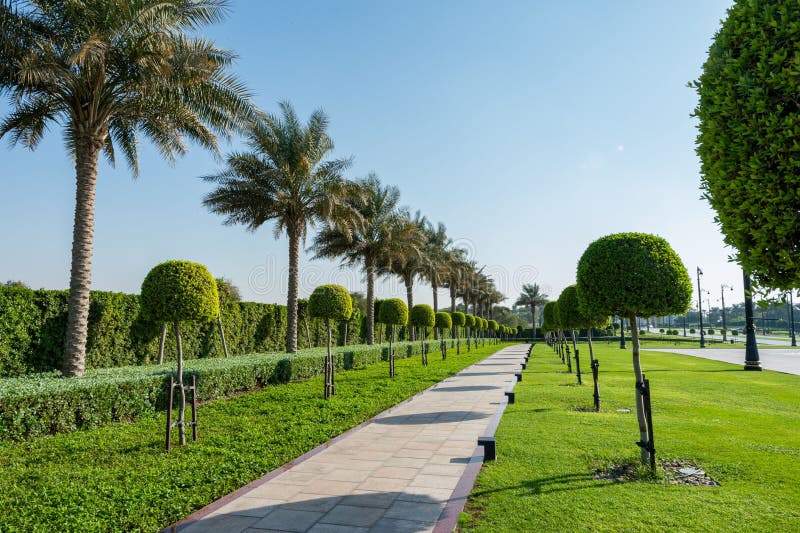 Straight Path in a Green Park in Dubai Stock Image - Image of path ...