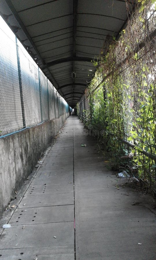 Straight Path stock image. Image of long, straight, path - 86176147