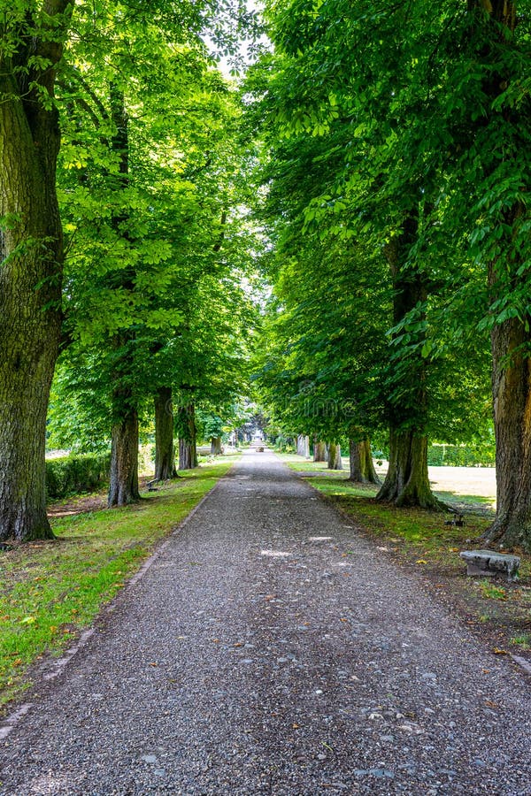 Straight Path of Small Stones Disappearing into the Background, between ...