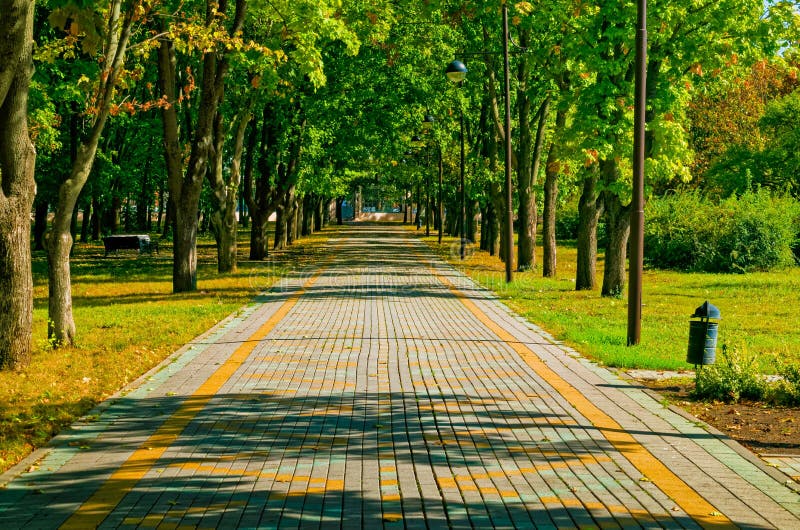 Straight Perspective Path in a Park Stock Photo - Image of tree, autumn ...