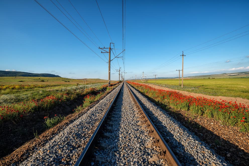 A Straight Railway Track Going Forward through Red Poppy Fields Stock ...