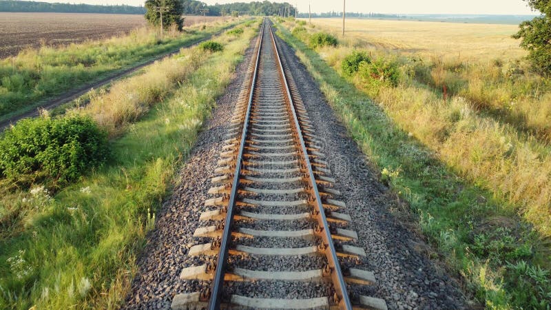 Straight Railway Tracks, Train Road through Fields and Forests. Stock ...