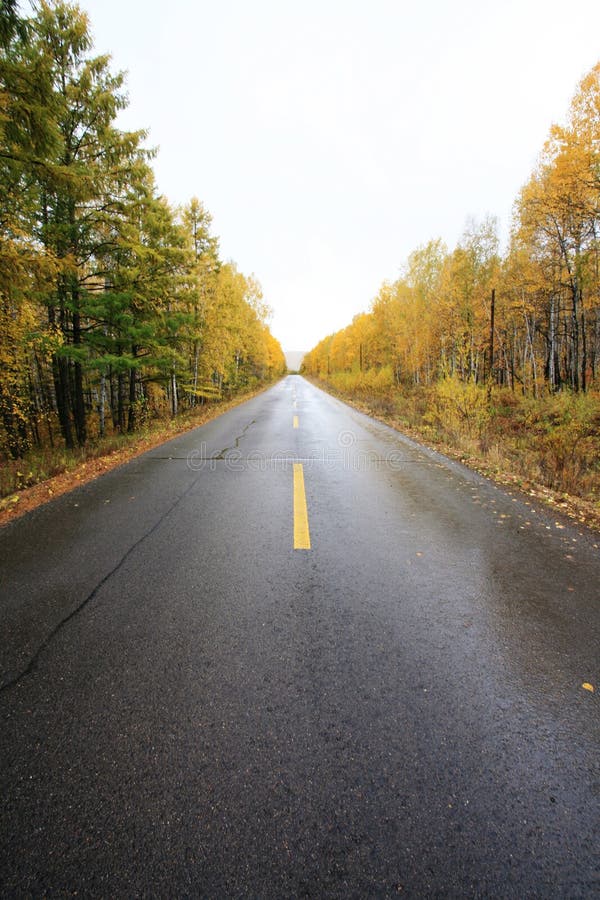 Straight road stock photo. Image of concept, road, forward - 11851188