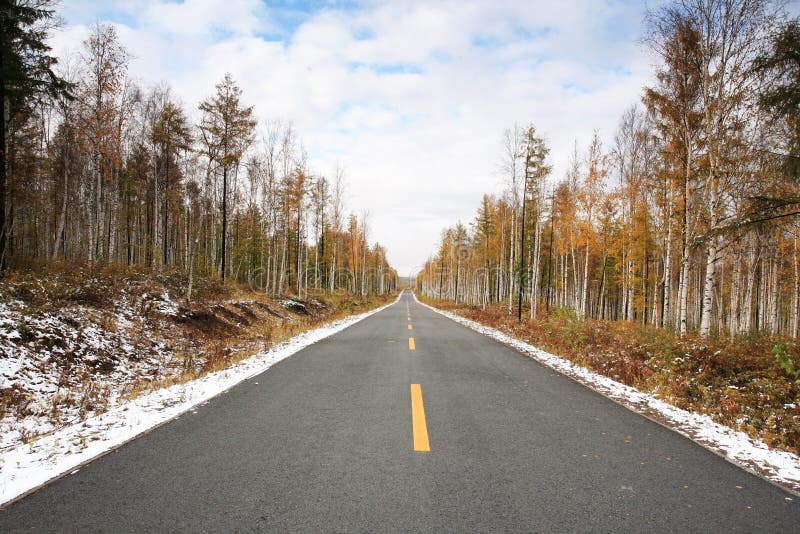 Straight road stock image. Image of america, tree, background - 11856773