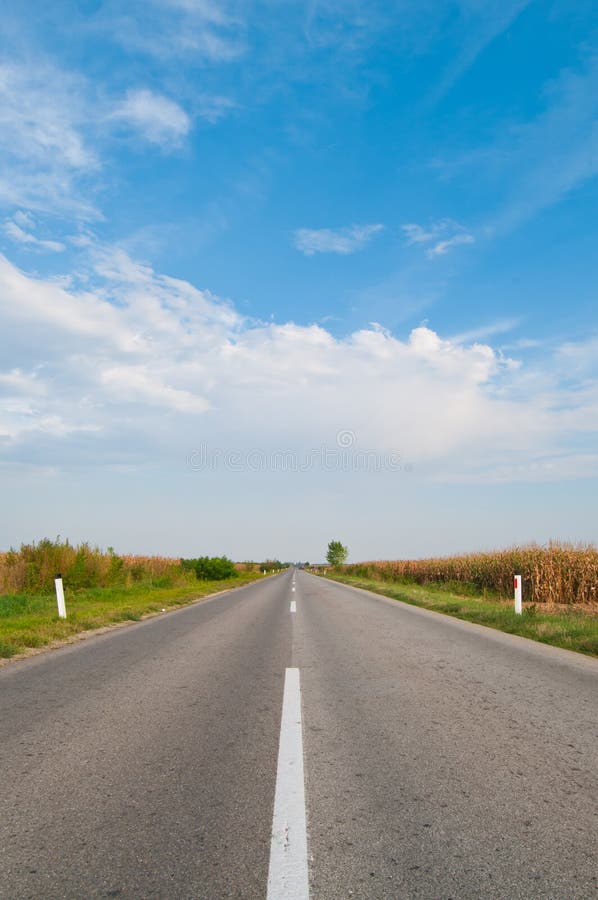 Straight Road stock photo. Image of landscape, countryside - 15980306
