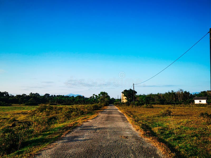 Straight Road Access the Field in the Morning Stock Image - Image of ...
