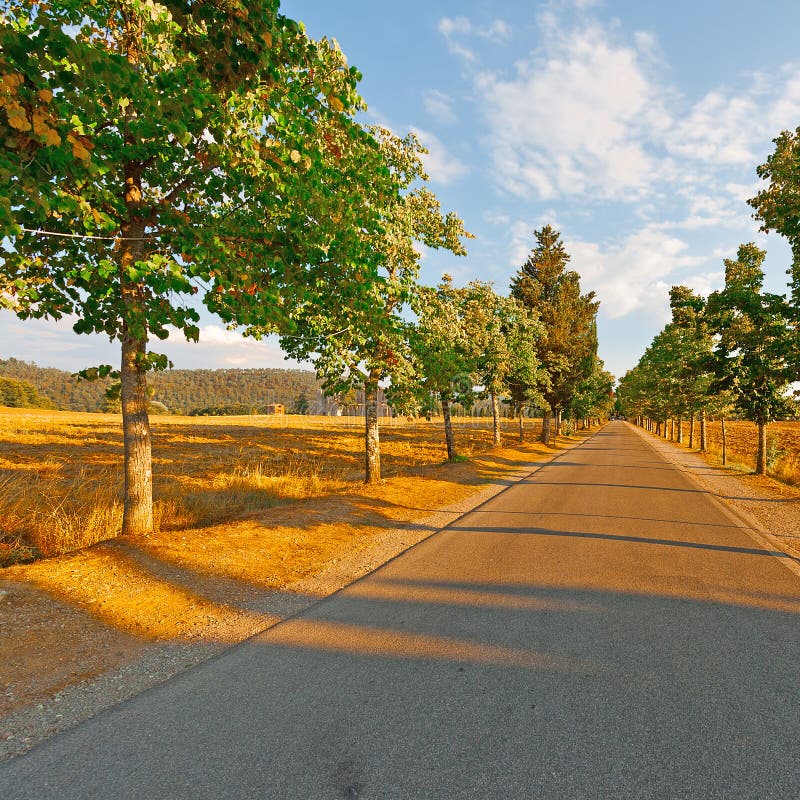 Straight Road stock photo. Image of fall, asphalt, mountain - 87664730
