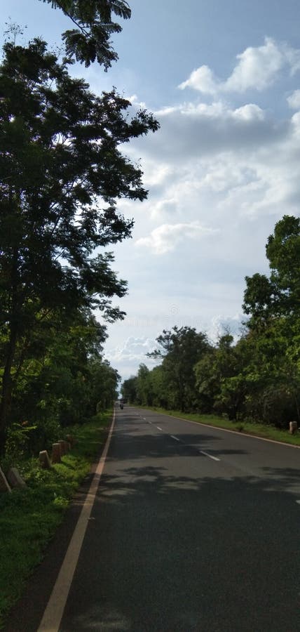 Straight road bike coming. stock photo. Image of tree - 188487102