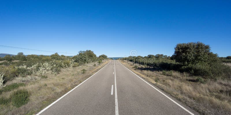 Straight Road with Blue Sky Stock Image - Image of success, direction ...