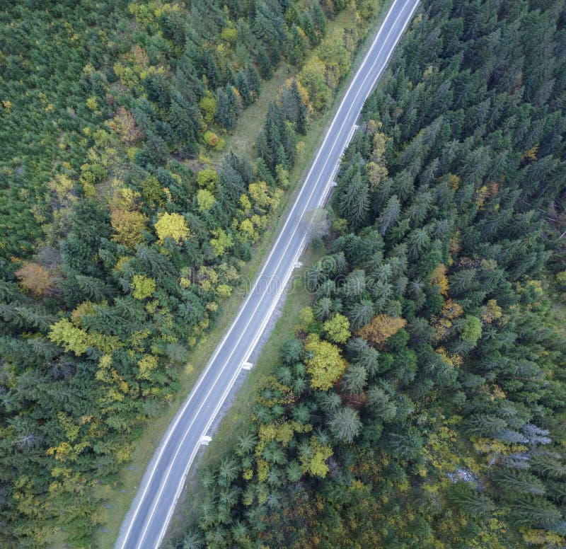 Straight Road through the Forest Top View Stock Photo - Image of ...