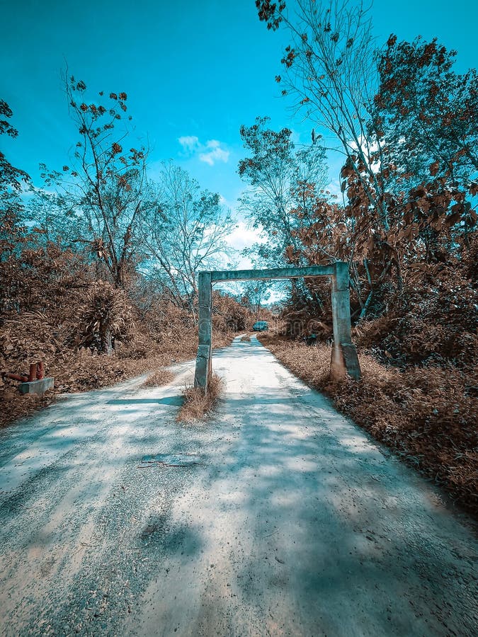 Straight Road with Half Gate Stock Photo - Image of water, snow: 263299808