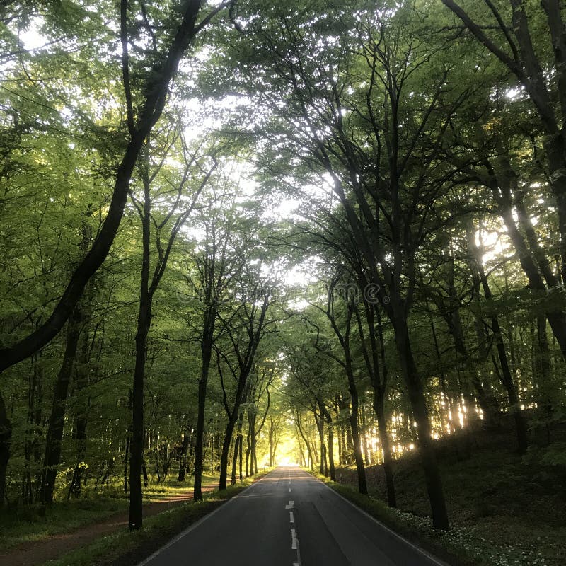 The street forward stock image. Image of sunlight, forward - 162937917