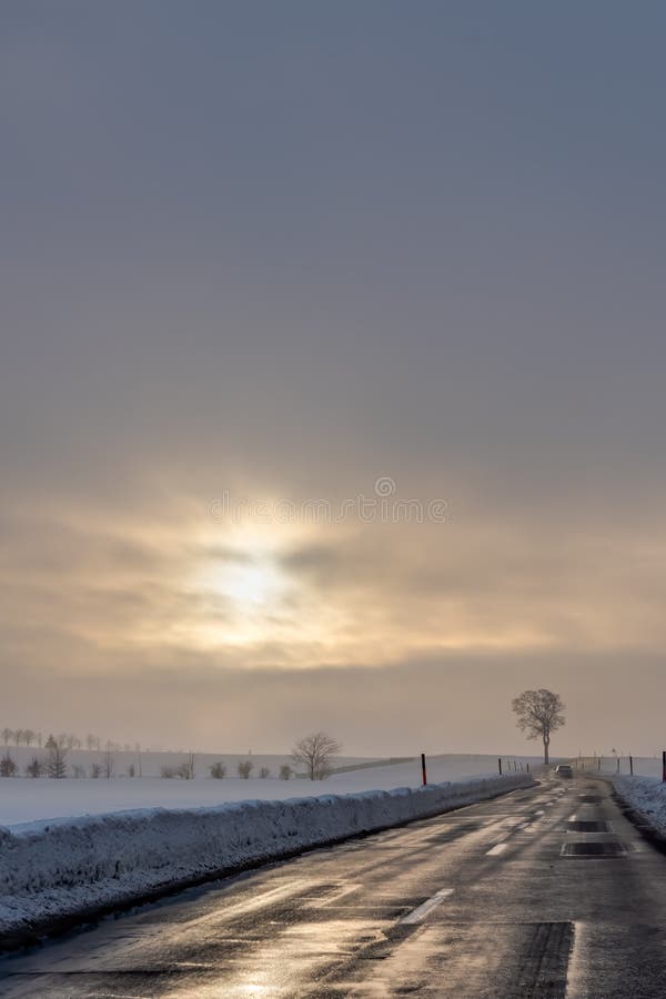 Straight Road with Trees without Leafs on the Side during a Winter ...