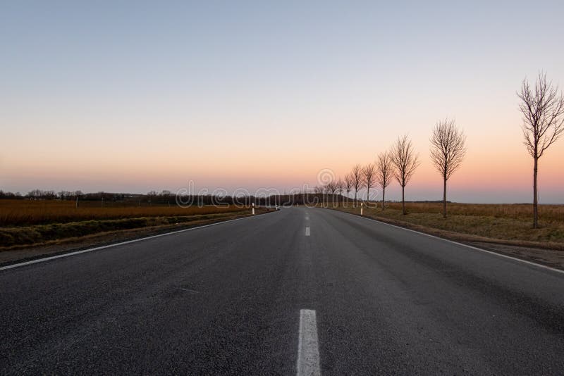 Straight Road with Trees without Leafs on the Side during a Winter ...