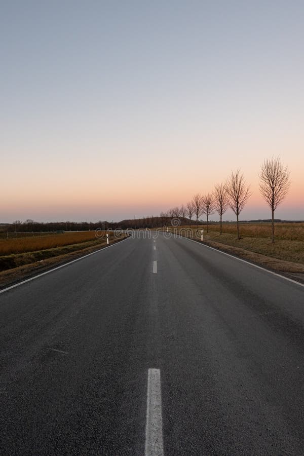 Straight Road with Trees without Leafs on the Side during a Winter ...