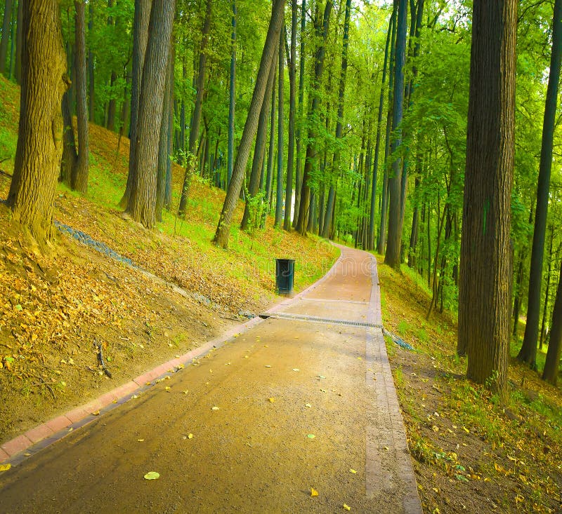 Straight Spring Alley Becoming Green Stock Image - Image of ground ...