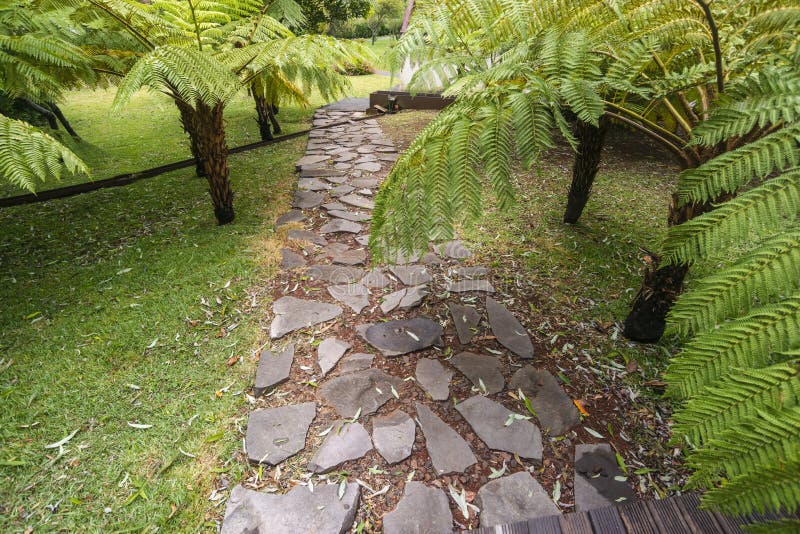 Stone pathway in garden stock photo. Image of palm, straight - 169858396