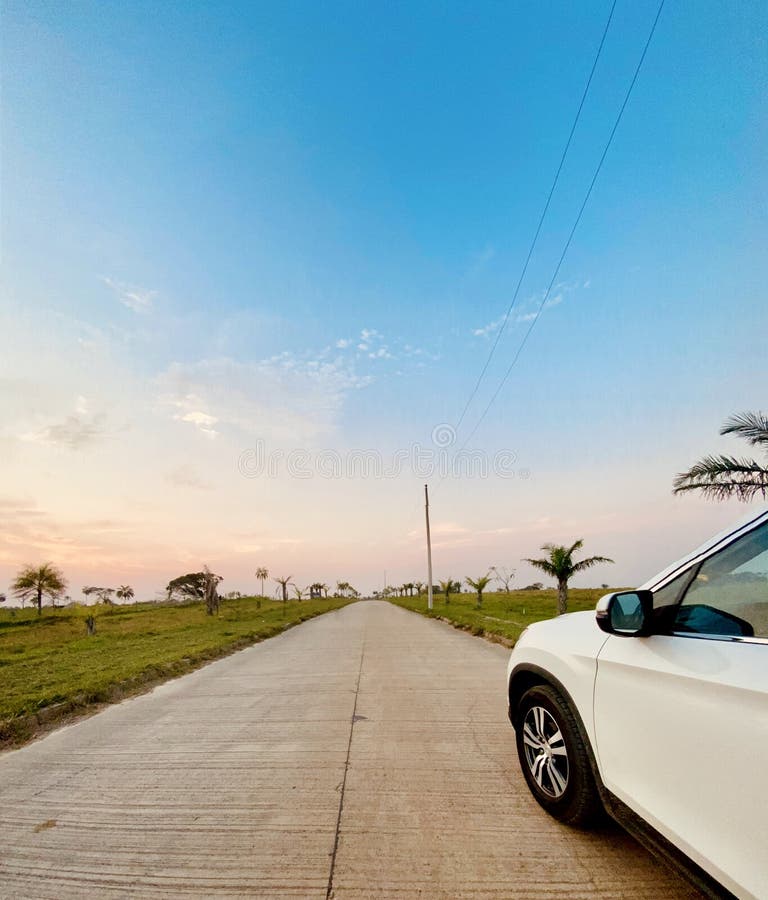 Straight to the sky stock photo. Image of straight - 195208128