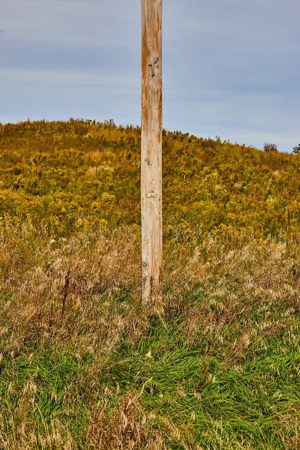 Straight on View of Lower Half of Telephone Pole in Hilly Fields Stock ...