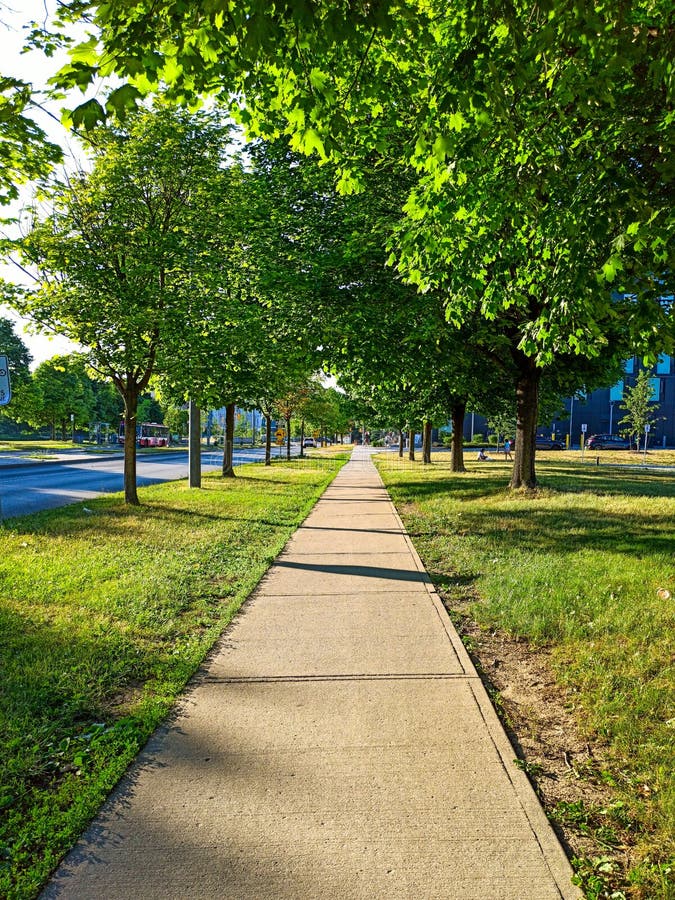 Straight Walking Path in the Garden Stock Image - Image of formal ...