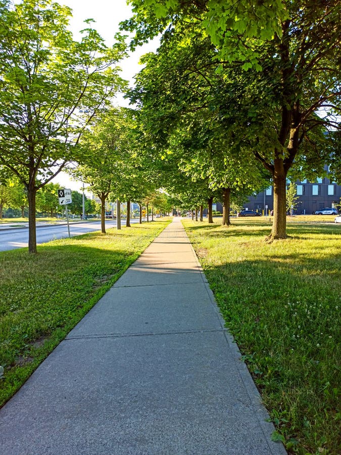 Straight Walking Path in the Garden Stock Image - Image of beauty ...