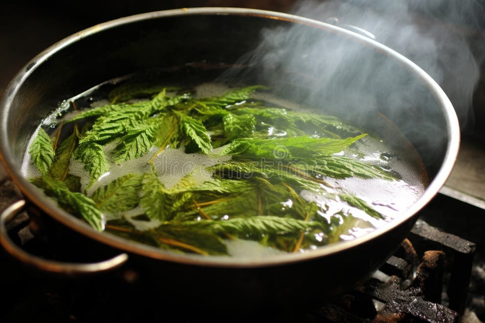 Straining Nettle Leaves from Boiling Water Stock Photo - Image of ...
