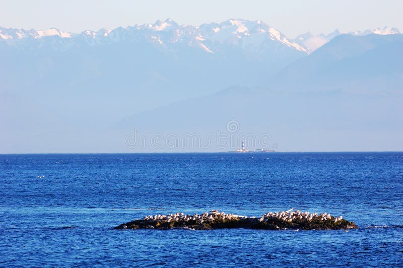 Strait view stock photo. Image of sunset, island, canada - 4511986