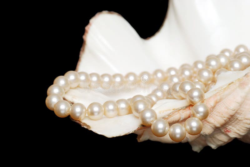 Cream Colored Pearls in a Sea Shell Stock Image - Image of elegant ...