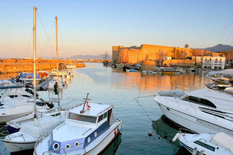 De Ezel van Cyprus stock afbeelding. Image of cyprus, landbouwbedrijf ...