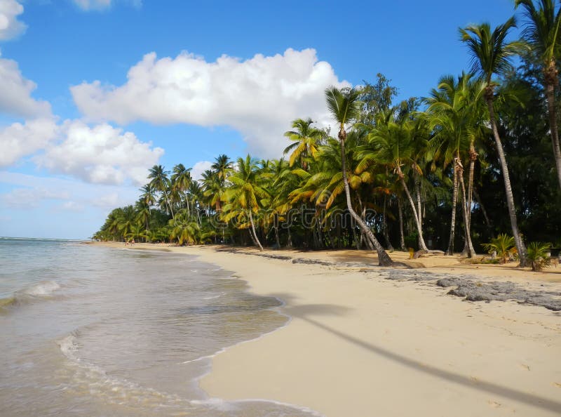 Strand Las Terrenas, Samana-Halbinsel Stockbild - Bild von meer ...
