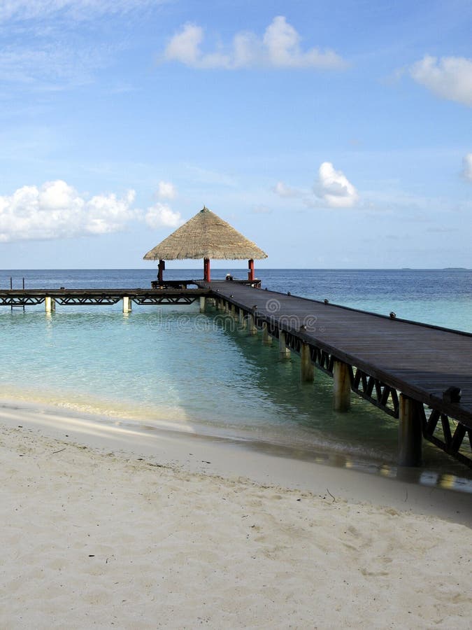 Strand maldives fotografering för bildbyråer. Bild av destinationer ...