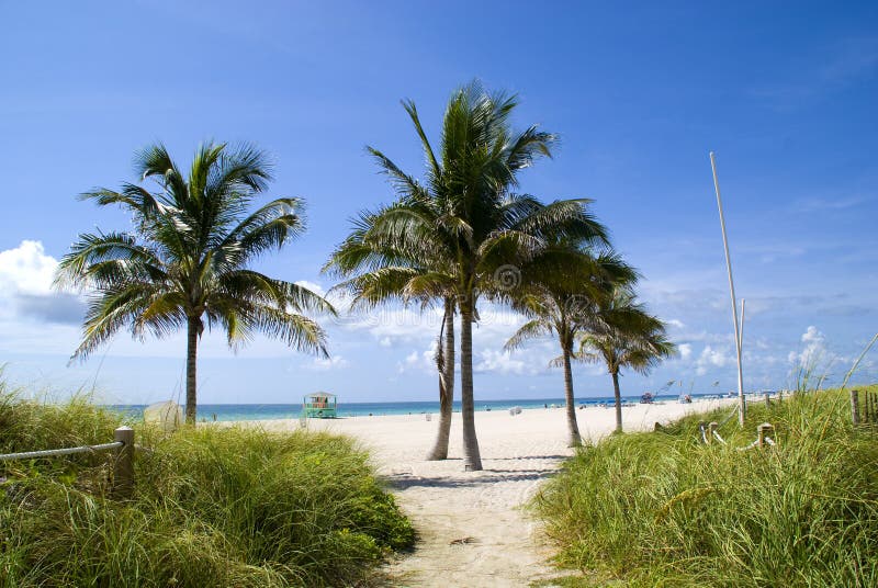 Strand miami arkivfoto. Bild av stillsamt, sandigt, kust - 9432156