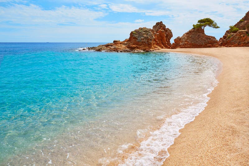 Strand Platja Fenals in Lloret De Mar Costa Brava Stockbild - Bild von ...