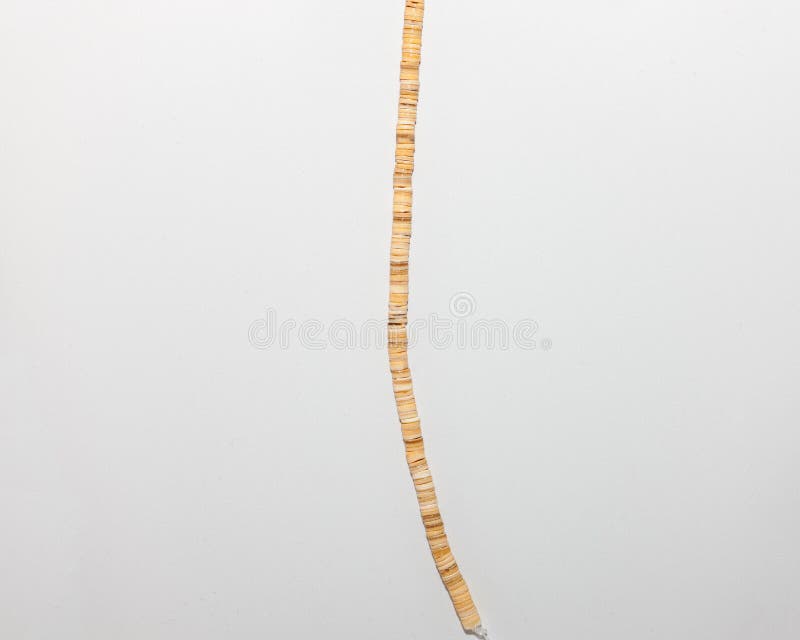 Strand of Small Round Light Brown Beads Stock Image - Image of festive ...