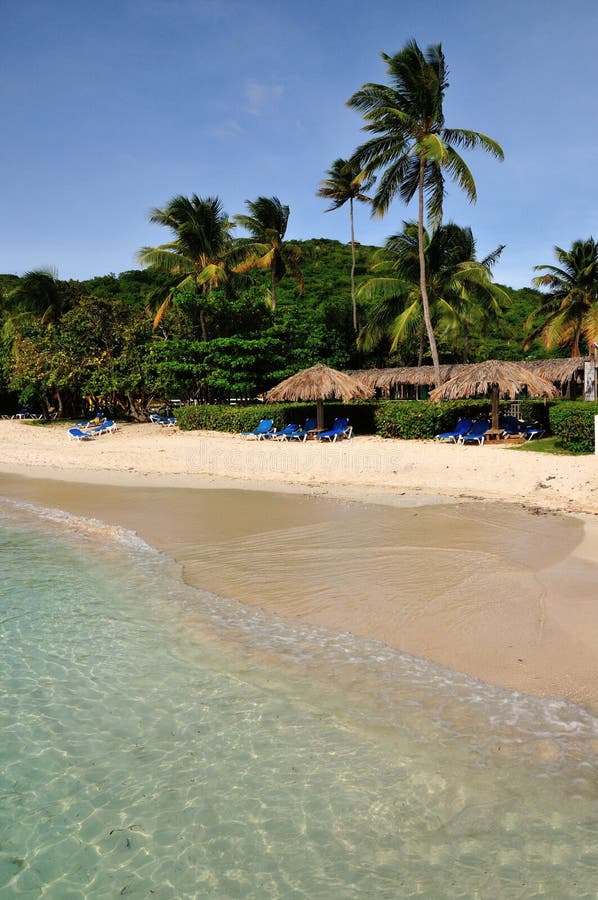 Strand- Und Palmen Im Palomino Stockfoto - Bild von standort, meer ...