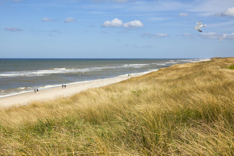 Strand von Rantum, Sylt stockfoto. Bild von nord, insel - 93954312