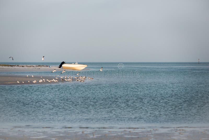 Boat stranded in sand stock photo. Image of fisherman - 265286916