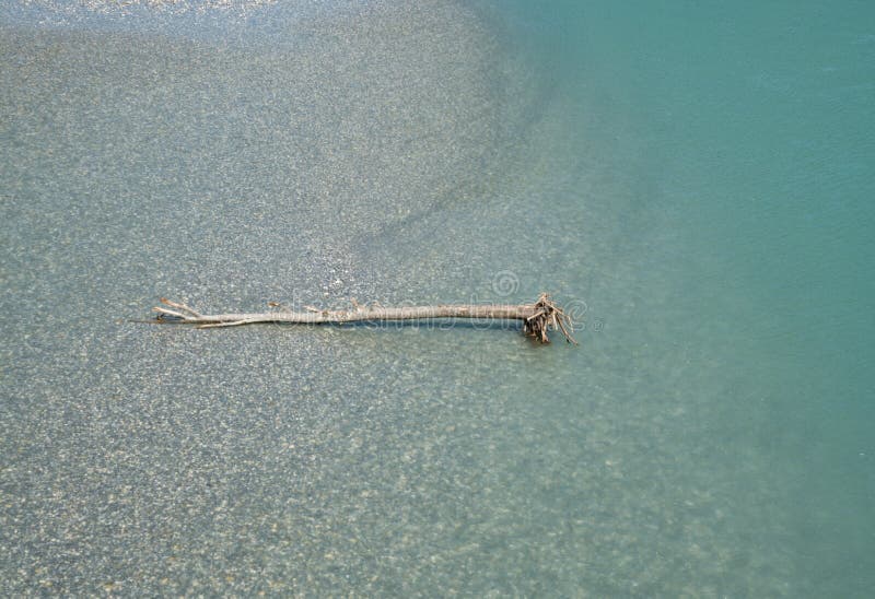 Stranded Driftwood Tree on the Banks of a Turquoise River Stock Image ...