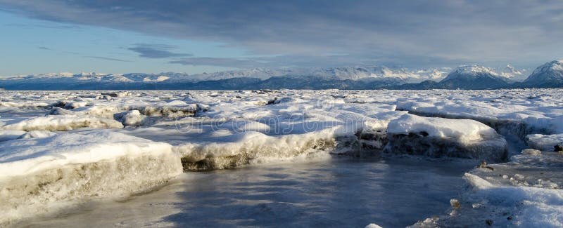 Frozen sea in the Arctic stock image. Image of frozen - 2238933