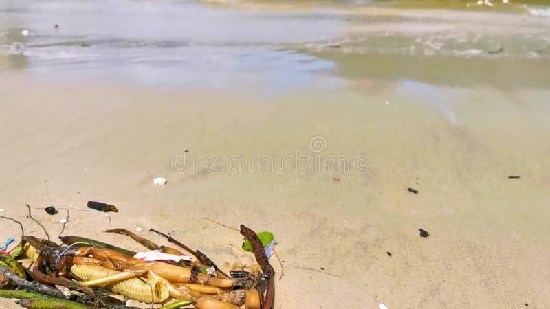 Stranded Washed Up Garbage Waste Trash Pollution on Beach Brazil Stock ...